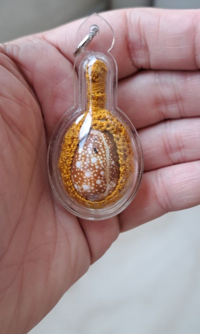 Lp Kambu Biage, Hobbies & Toys, Memorabilia & Collectibles, Religious ...