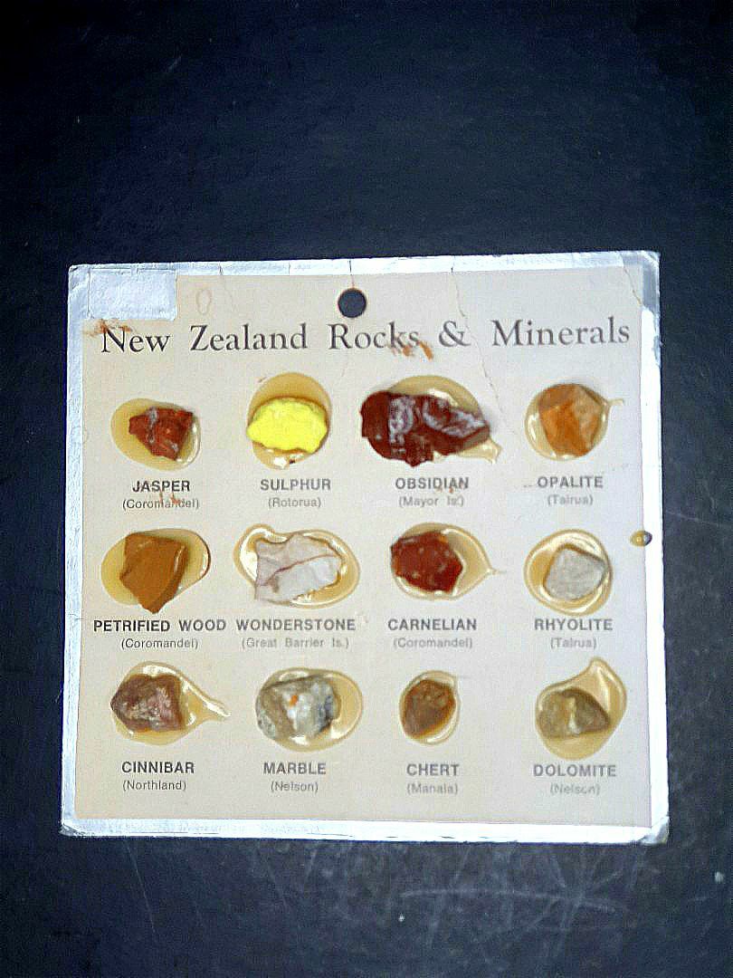 New Zealand Rocks & Minerals sample specimen fossile petrified wood ...