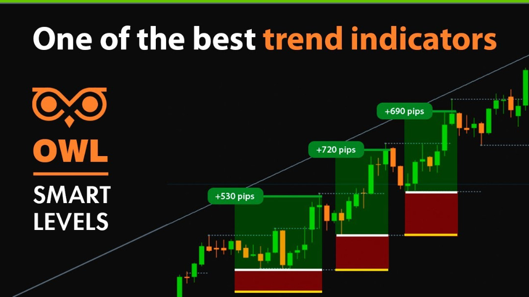 Owl Smart Levels Forex Indicator +DLL File + Unlimited Version MT4 ...