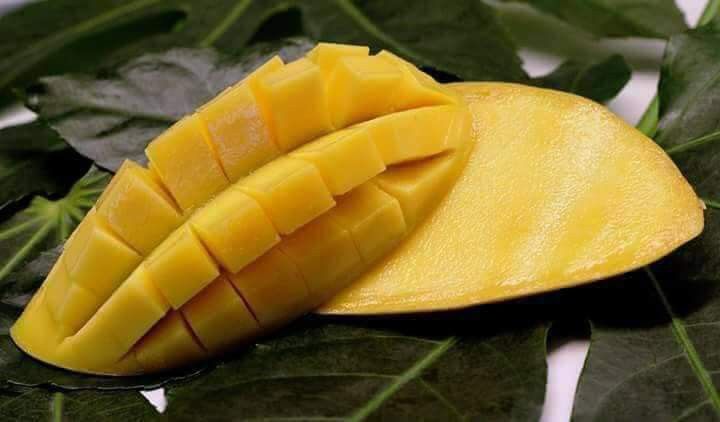 pokok mangga THAI GOLDEN MANGO (Nam dok mai / mangga air bungo ...