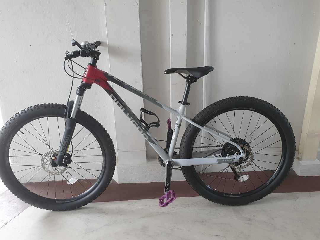 Polygon Xtrada 5 small frame, Sports Equipment, Bicycles & Parts ...