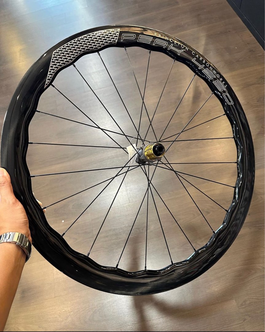 Princeton Peak 4550 Disc Tactic Racing TR01 Hub, Sports Equipment ...