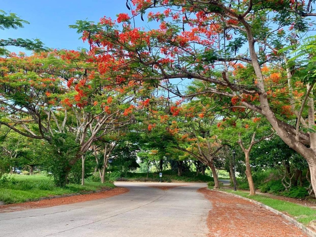 Wide Frontage - Lot for Sale in Stonecrest near Manila Southwoods in ...