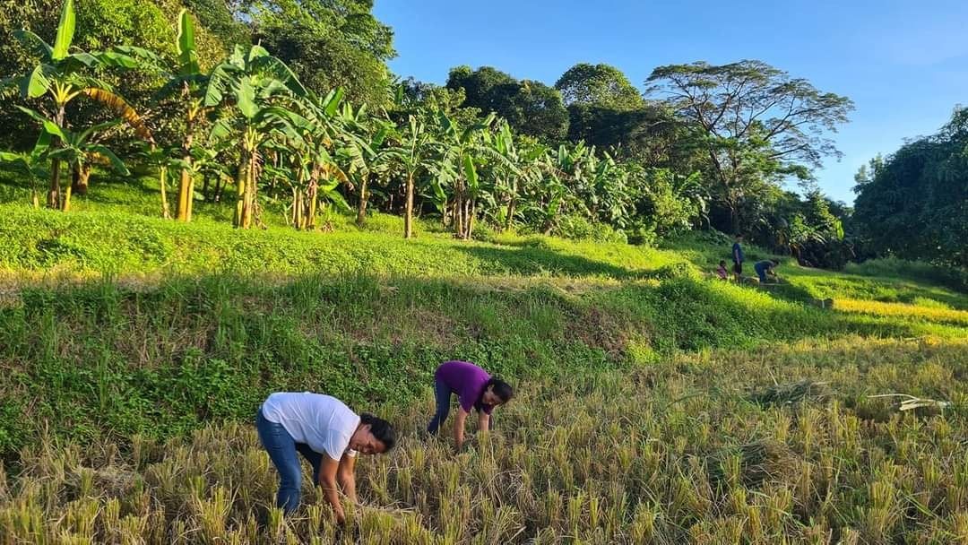 7.6 Hectares Farm Lot For Sale in Norzagaray, Bulacan, Property, For ...