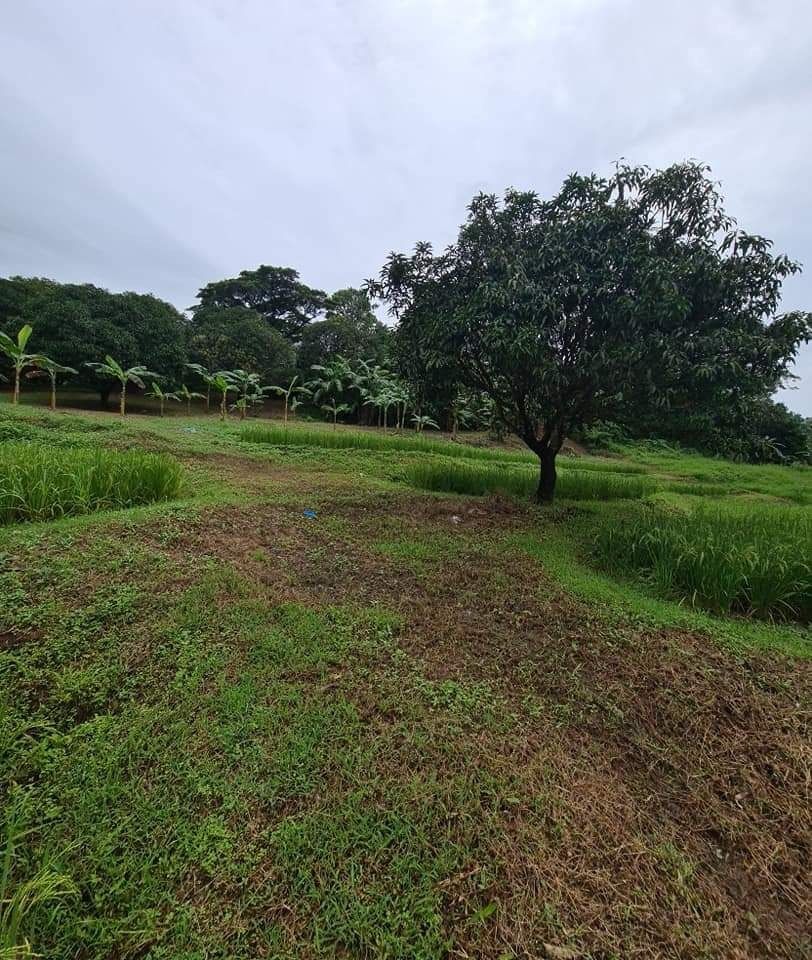 7.6 Hectares Farm Lot For Sale in Norzagaray, Bulacan, Property, For ...
