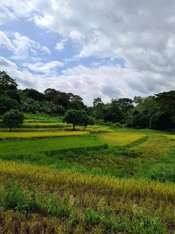 7.6 Hectares Farm Lot For Sale in Norzagaray, Bulacan, Property, For ...