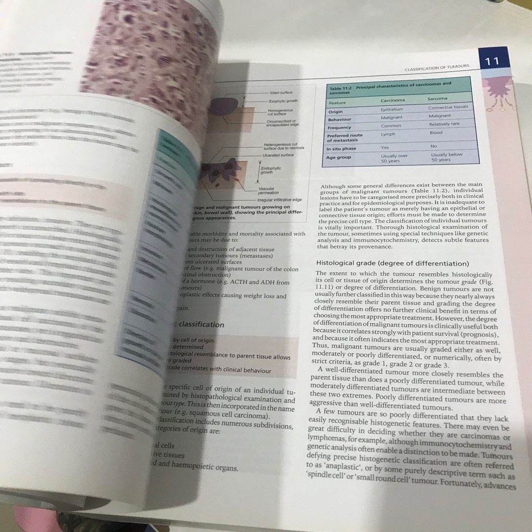 General and Systemic Pathology 5th Edition, Hobbies & Toys, Books ...