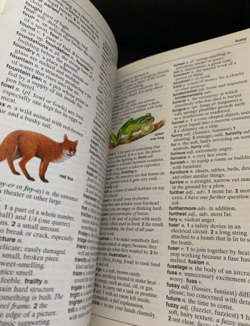 Kingfisher Dictionary, Hobbies & Toys, Books & Magazines, Assessment ...