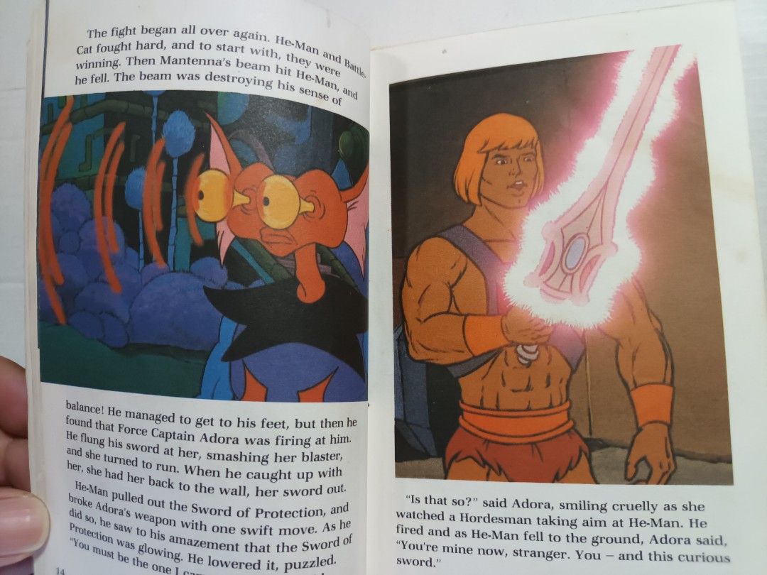 LADYBIRD BOOKS SHE-RA and HE-MAN The Secret of The Sword, Hobbies ...