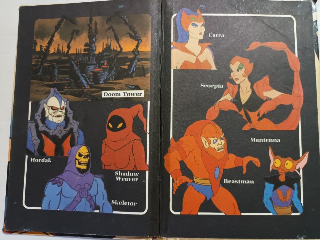 LADYBIRD BOOKS SHE-RA and HE-MAN The Secret of The Sword, Hobbies ...