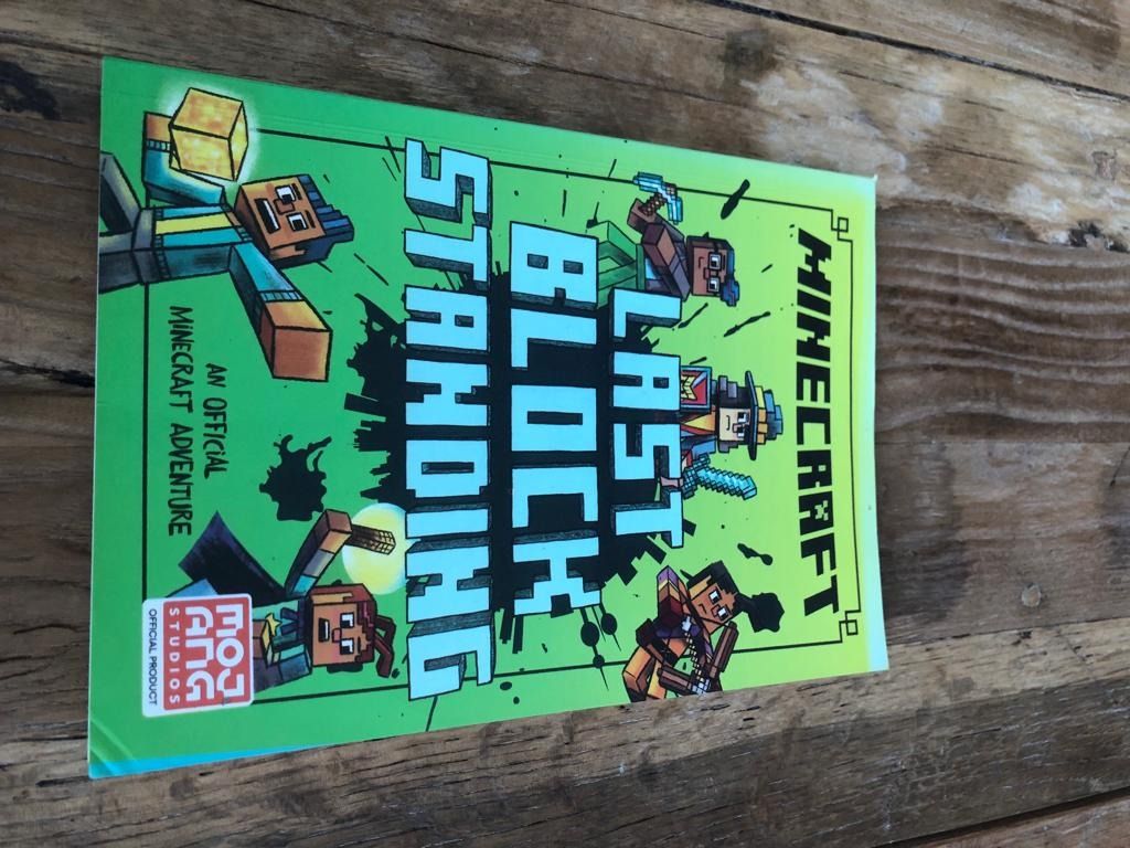 Minecraft Woodsword Chronicles Set, Hobbies & Toys, Books & Magazines ...