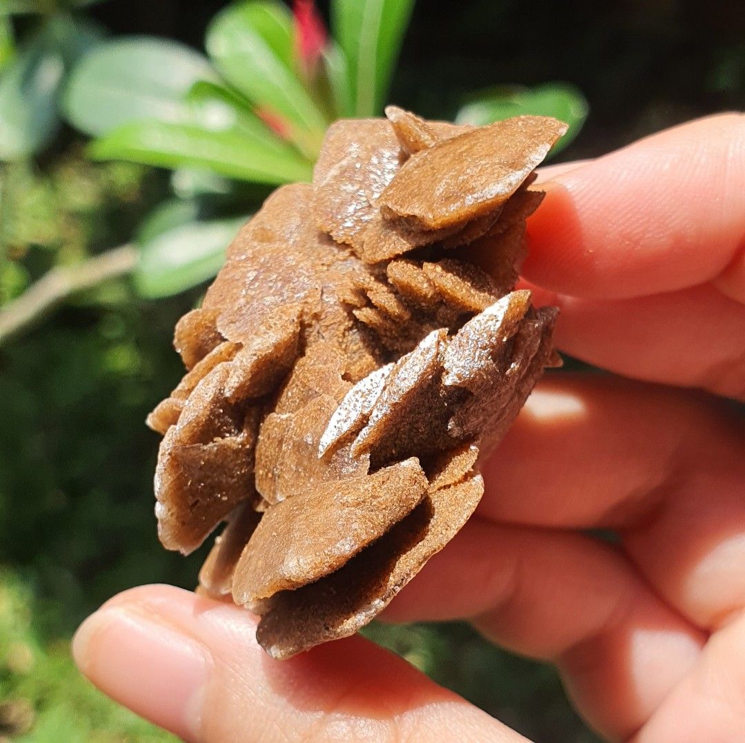 [Morocco] Desert Rose - Barite/Gypsum, Women's Fashion, Jewelry ...