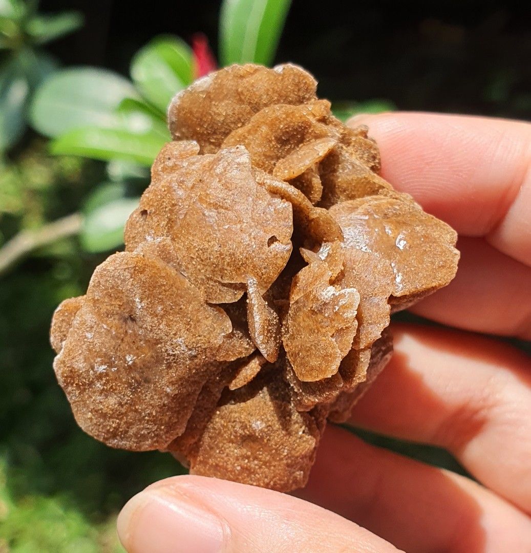[Morocco] Desert Rose - Barite/Gypsum, Women's Fashion, Jewelry ...