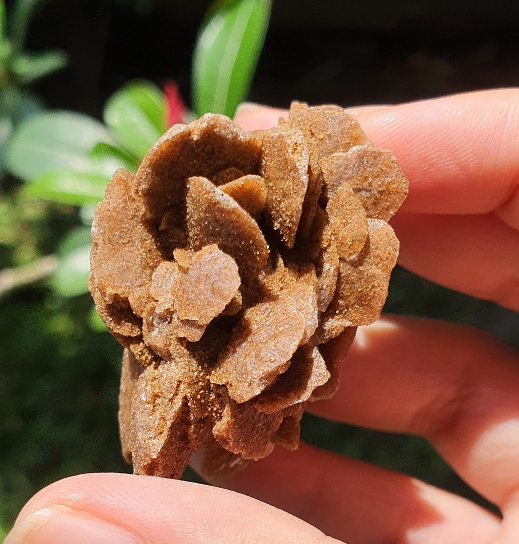 [Morocco] Desert Rose - Barite/Gypsum, Women's Fashion, Jewelry ...