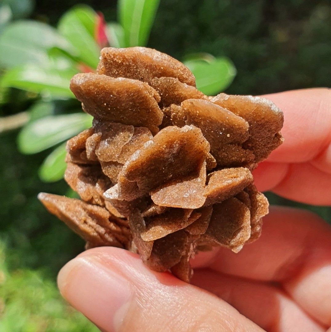 [Morocco] Desert Rose - Barite/Gypsum, Women's Fashion, Jewelry ...