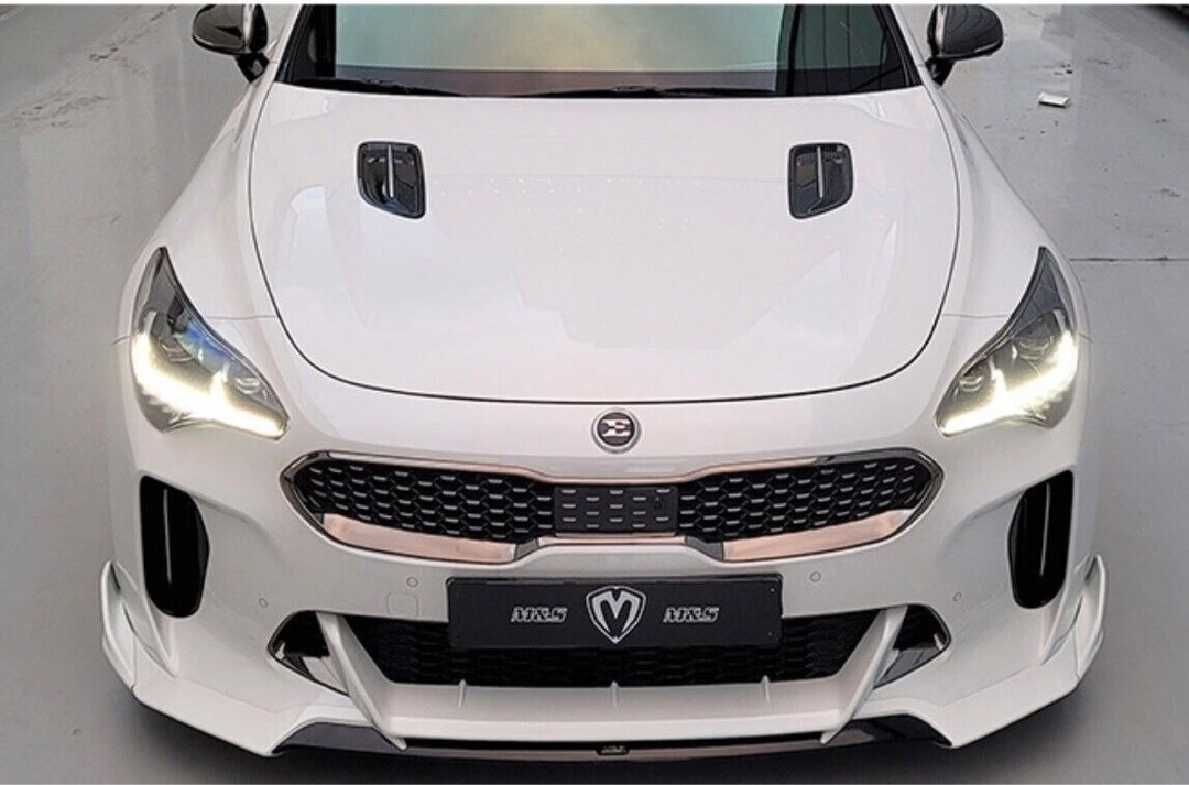 M&S Kia Stinger Center Splitter Wing, Car Accessories, Accessories on ...