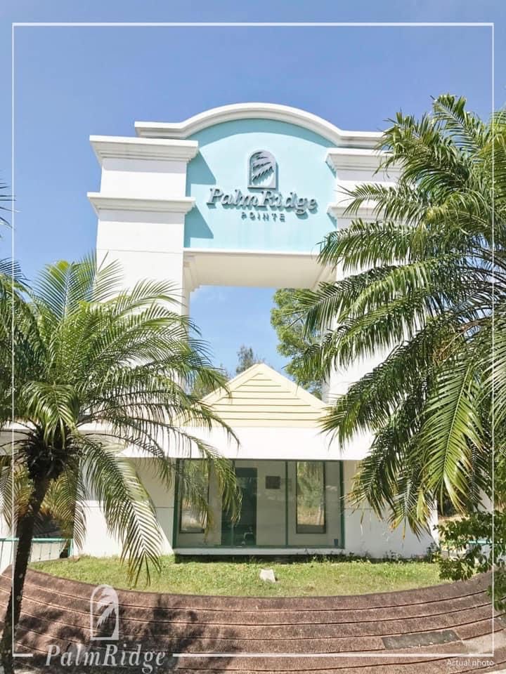 Palm ridge, Property, For Sale, Lot on Carousell