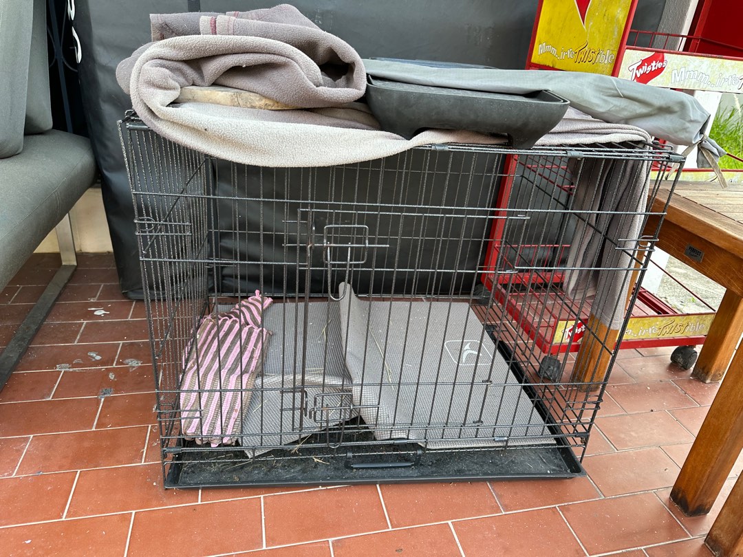 Pet cage, Pet Supplies, Homes & Other Pet Accessories on Carousell