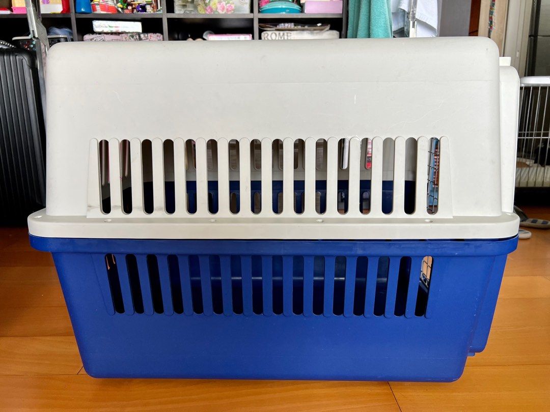 Pet Carrier Cage NEW! - BGC Taguig, Pet Supplies, Homes & Other Pet ...