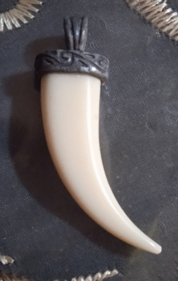 Taring Harimau, Everything Else on Carousell