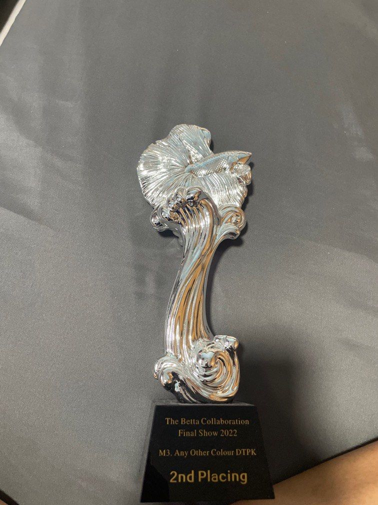 TBC 2022 FINAL SHOW Trophy, Hobbies & Toys, Memorabilia & Collectibles ...