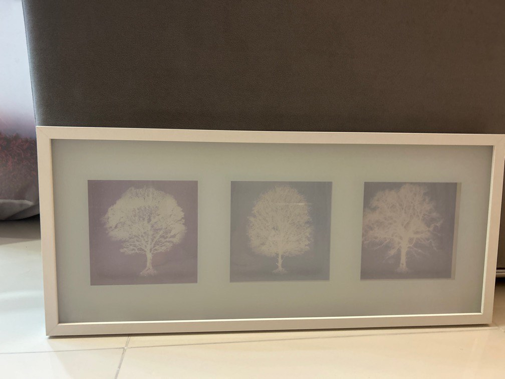 Trees photo frame, Furniture & Home Living, Home Decor, Frames ...