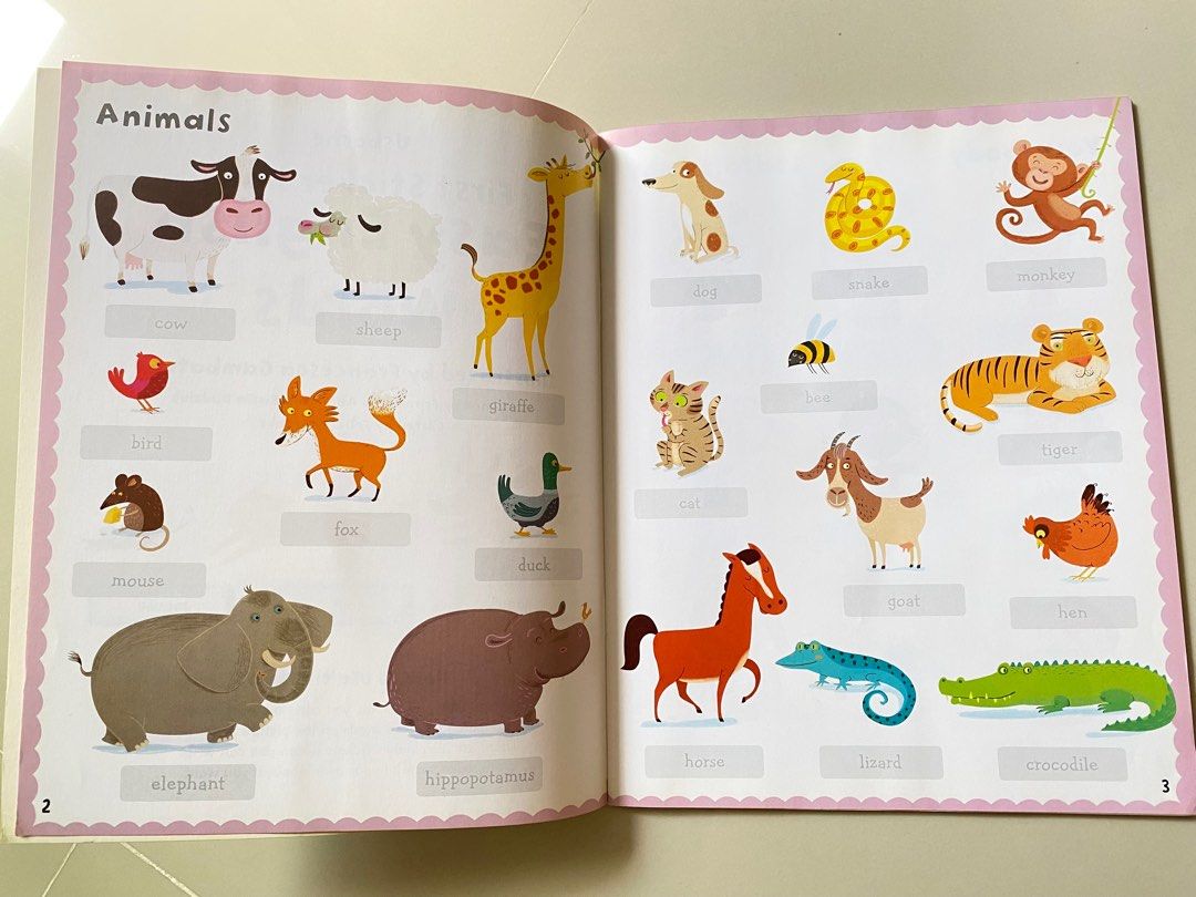 USBORNE - Sticker Book / Activity book, Hobbies & Toys, Books ...