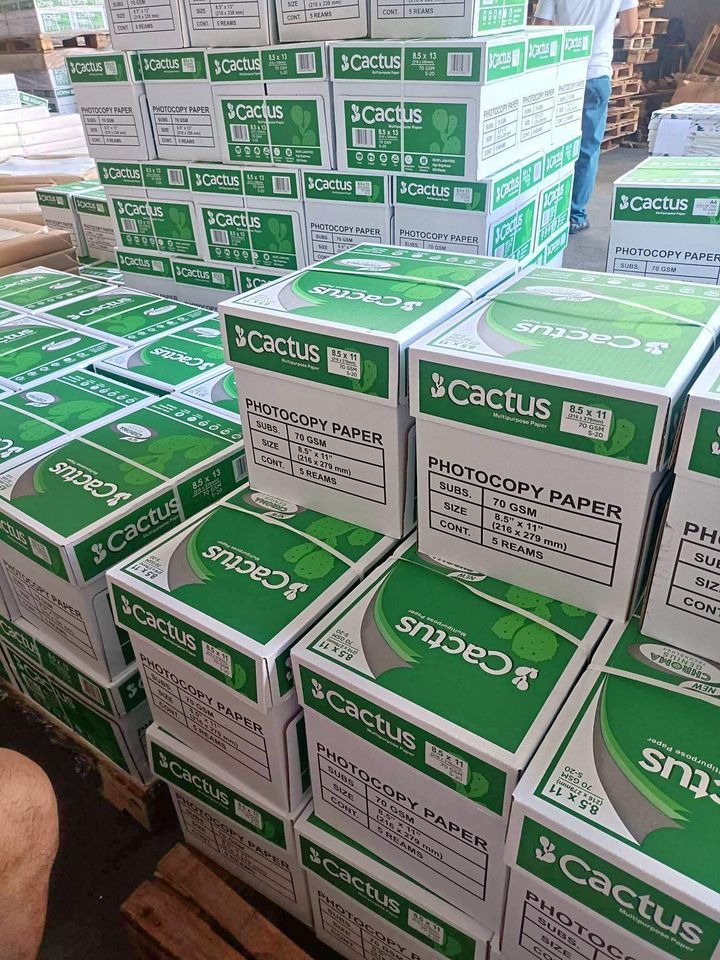 70 GSM Cactus Bond Copy Paper A4, Hobbies & Toys, Stationary & Craft ...