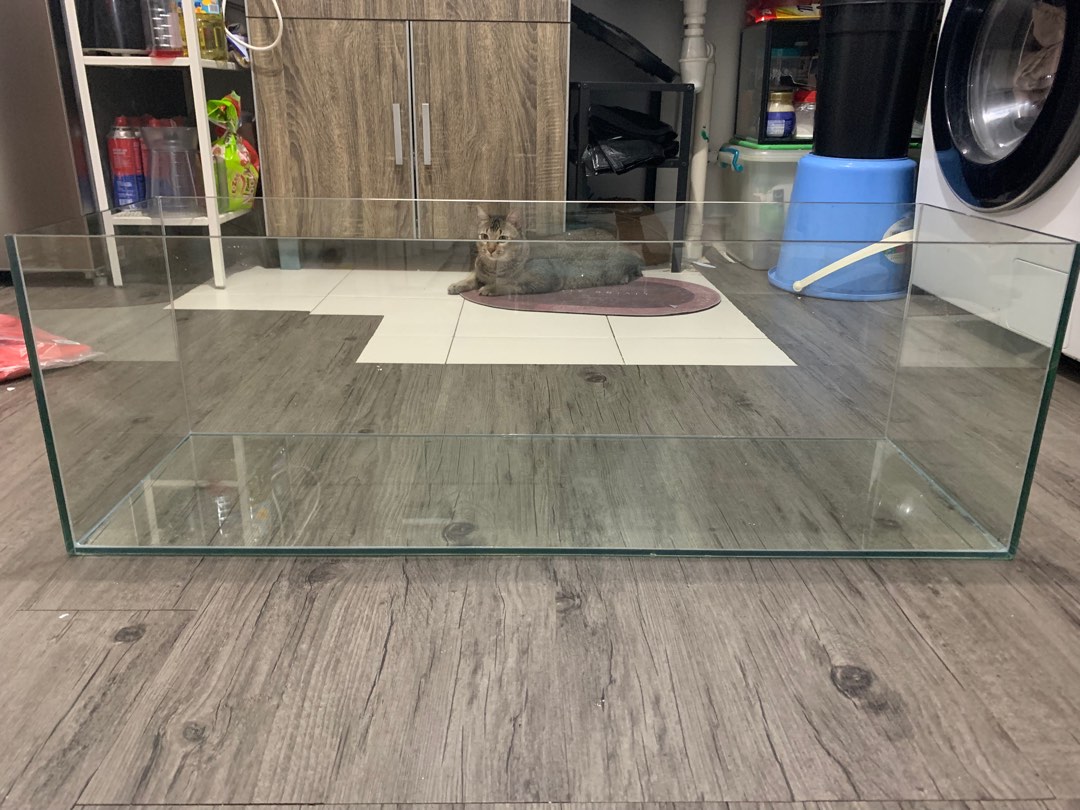 90cm fish tank used for hamster, Pet Supplies, Homes & Other Pet ...