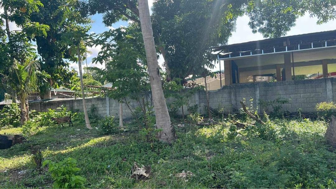 ARGAO CEBU LOT FOR SALE, Property, For Sale, Lot on Carousell