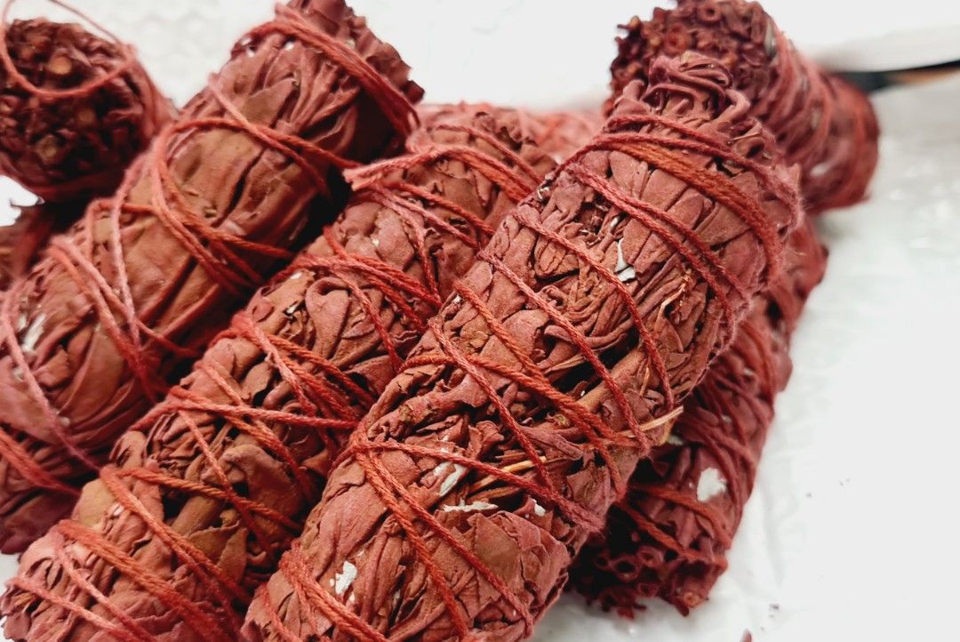 Dragon blood sage leaves, Hobbies & Toys, Memorabilia & Collectibles ...