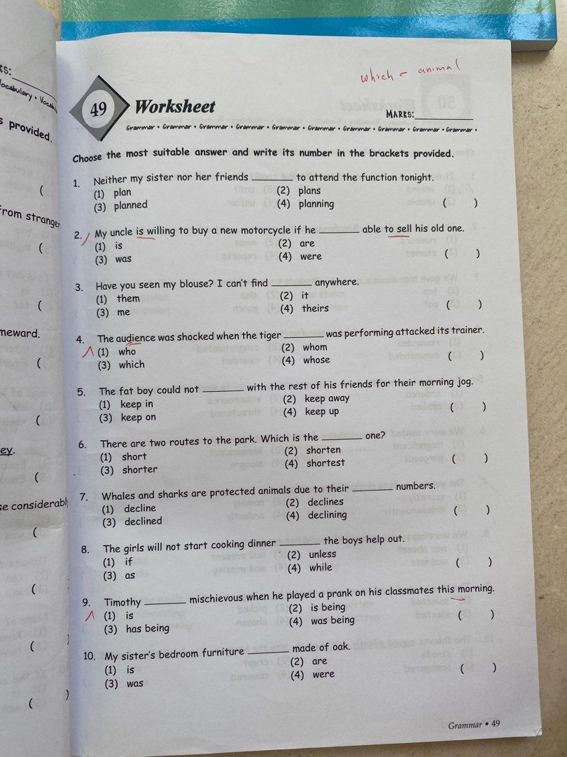 English Grammar P5 and P6, Hobbies & Toys, Books & Magazines ...