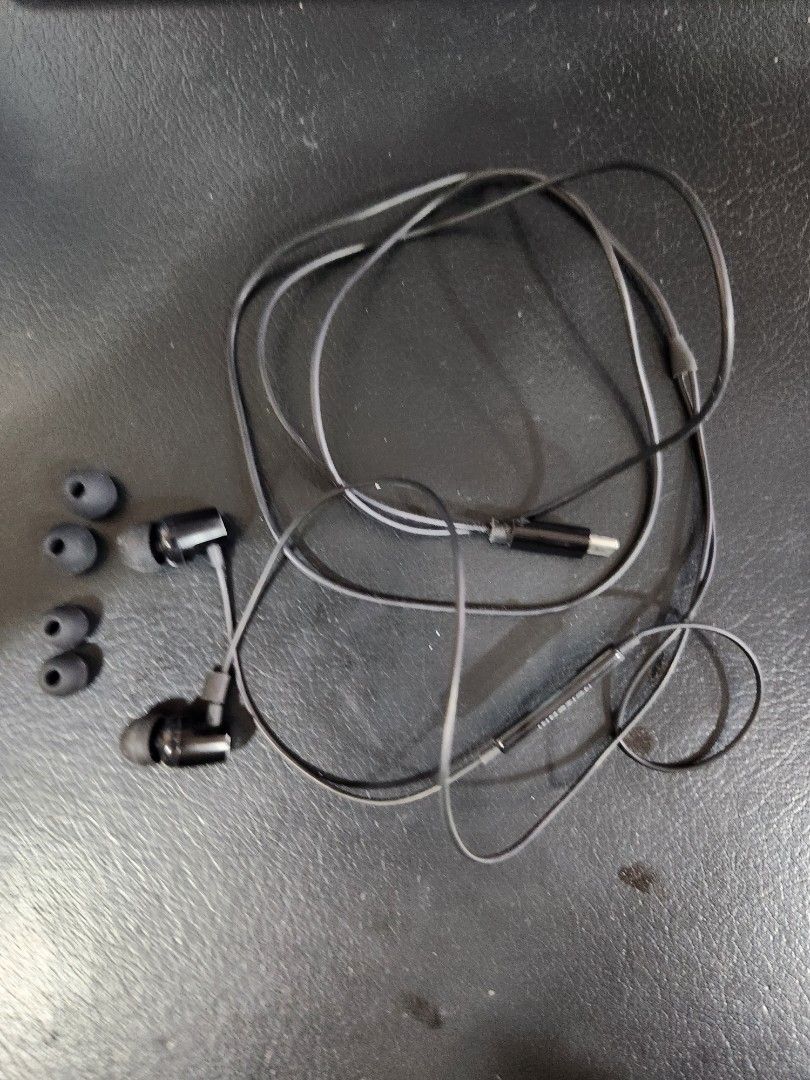 InMotion Earbuds, Audio, Earphones on Carousell