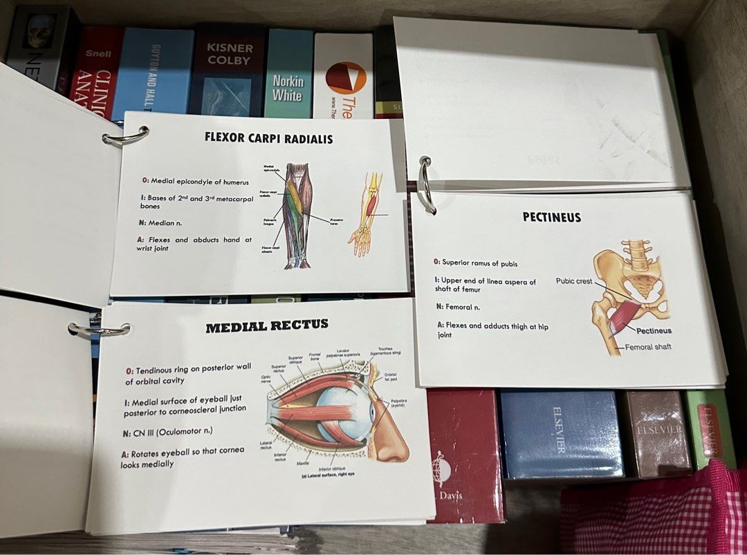 (TAKE-ALL‼️) Physical Therapy Flashcards (7 Flashcards), Hobbies & Toys ...