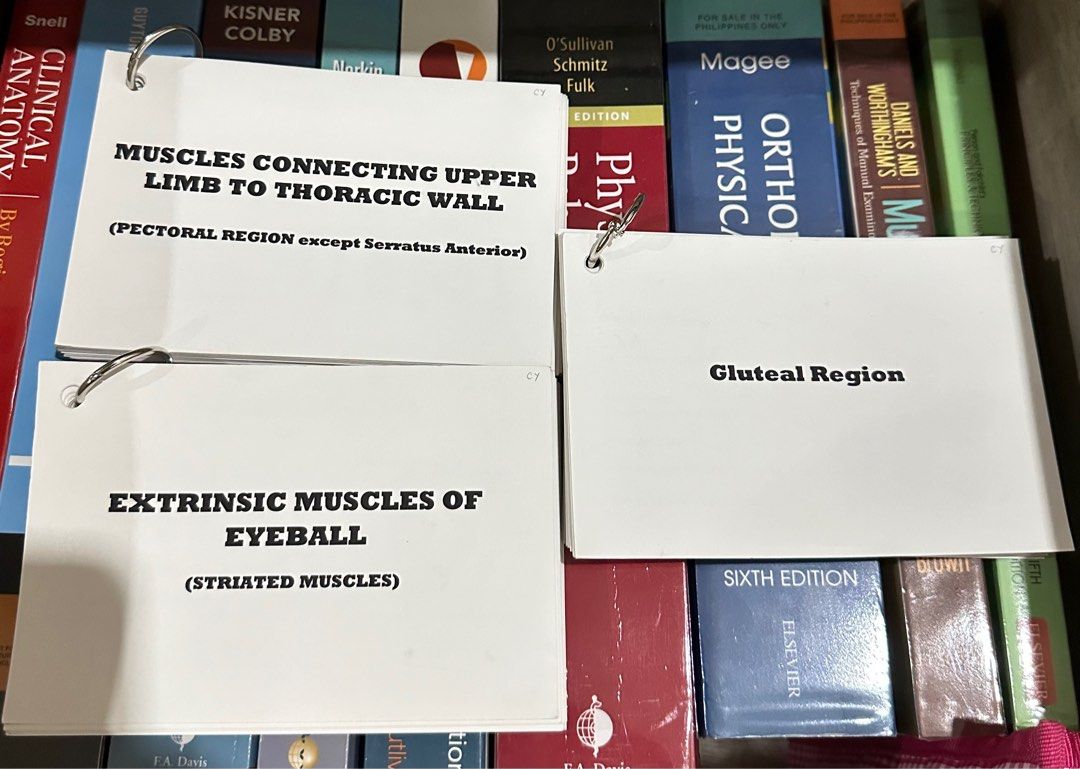 (TAKE-ALL‼️) Physical Therapy Flashcards (7 Flashcards), Hobbies & Toys ...