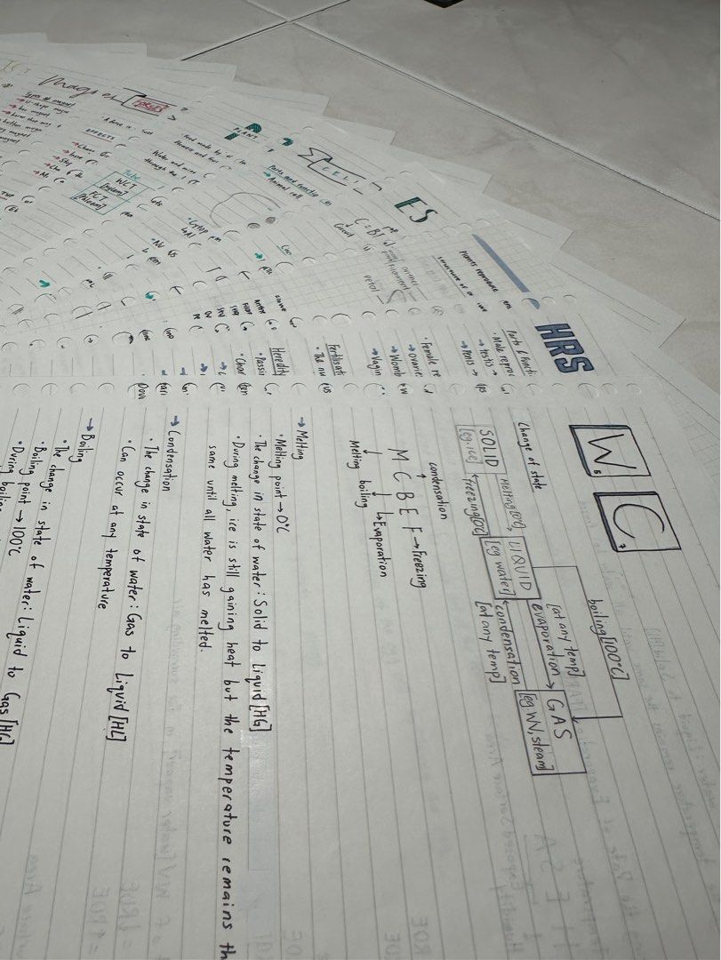 PSLE SCIENCE NOTES, Hobbies & Toys, Books & Magazines, Assessment Books ...