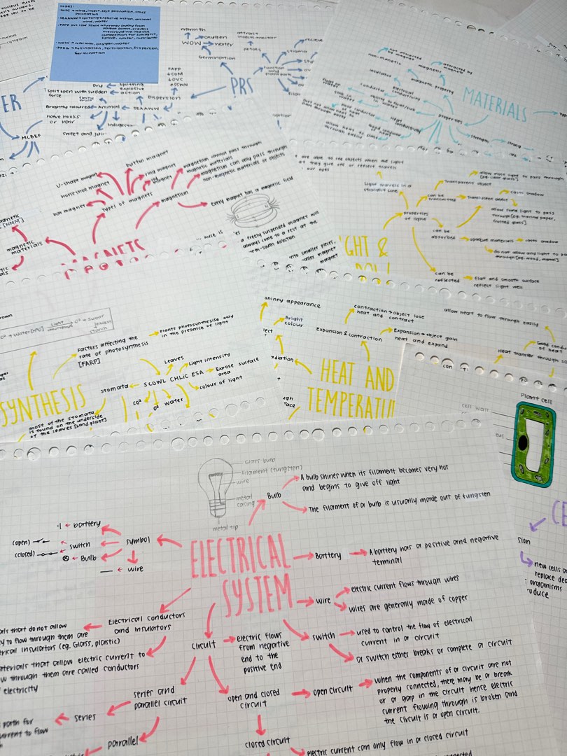 PSLE SCIENCE NOTES, Hobbies & Toys, Books & Magazines, Assessment Books ...