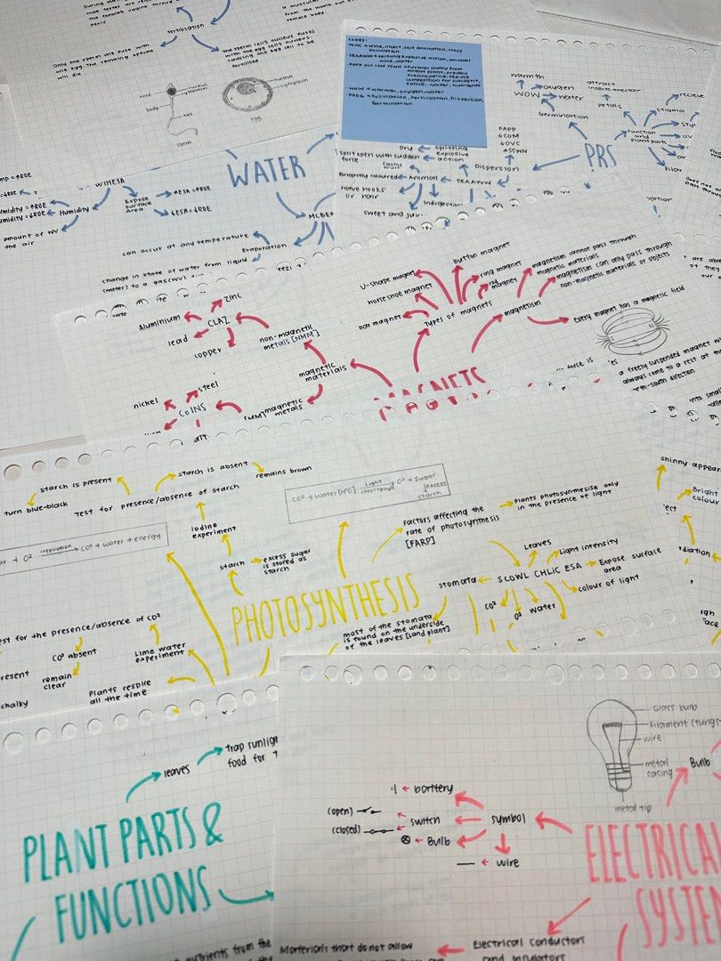 PSLE SCIENCE NOTES, Hobbies & Toys, Books & Magazines, Assessment Books ...