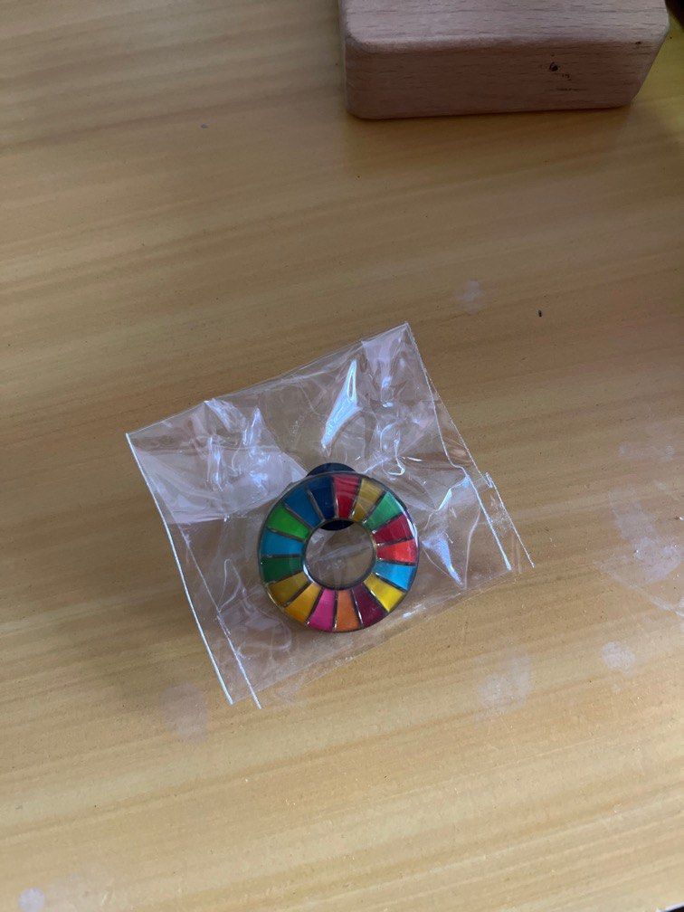 United Nations pin BTS, Everything Else, Others on Carousell