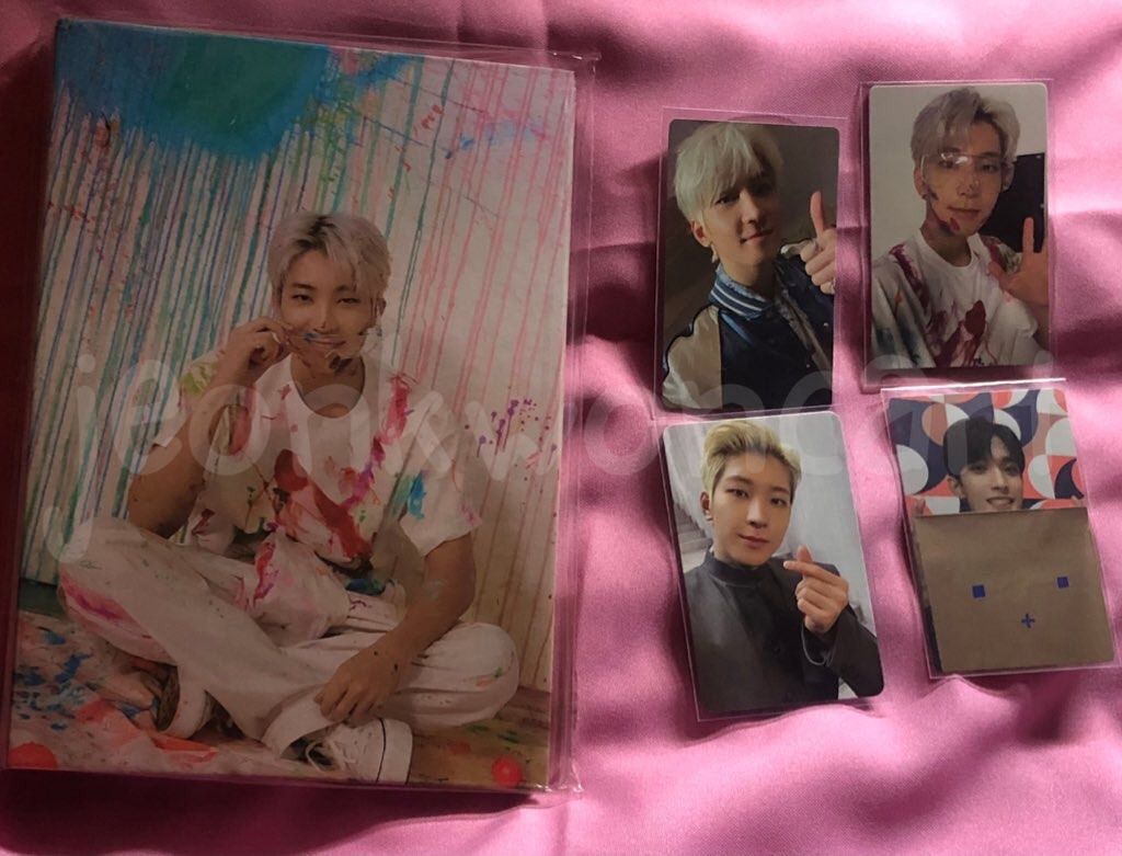 SEVENTEEN wonwoo fts carat ver set, Hobbies & Toys, Memorabilia ...