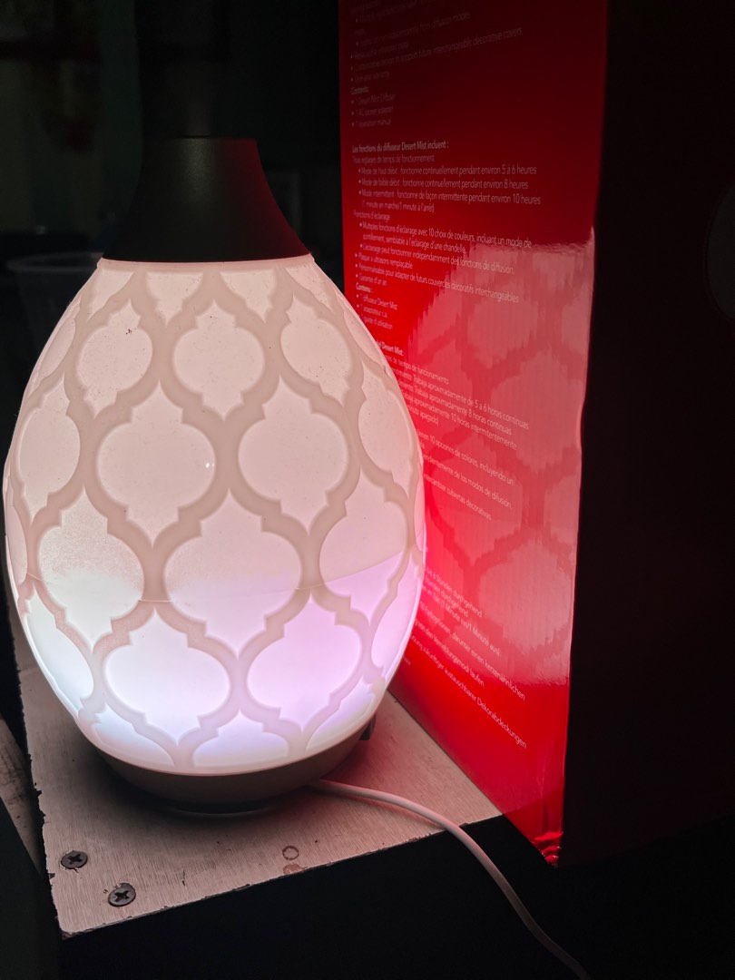 Young Living Dessert Mist Diffuser, Furniture & Home Living, Home ...