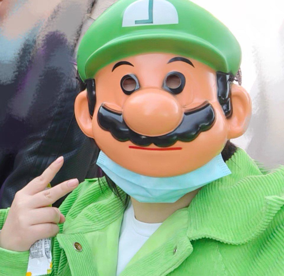 [Avail] Mario & Luigi Plastic Mask Halloween Funny Masks Mascot Costume ...