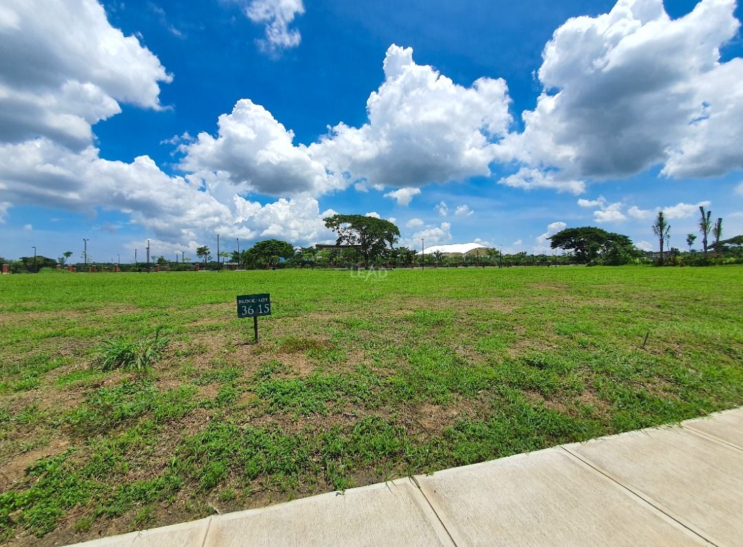 For Sale Rockwell South at Carmelray Lot For Sale 327 sqm Calamba ...