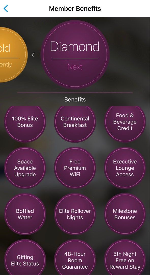 Hilton Honord Gold / Diamond Elite Status, Hobbies & Toys, Travel ...