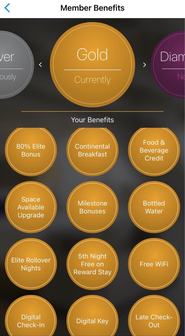 Hilton Honord Gold / Diamond Elite Status, Hobbies & Toys, Travel ...