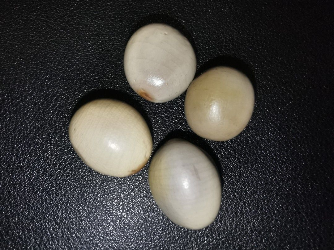 Mustika Biji Bambu Asli Alam, Hobbies & Toys, Memorabilia ...