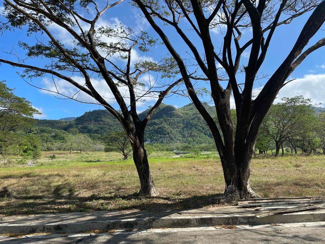 Palto Alto Baras Rizal 418sqm prime lot, Property, For Sale, Lot on ...