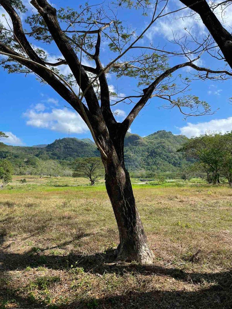 Palto Alto Baras Rizal 418sqm prime lot, Property, For Sale, Lot on ...