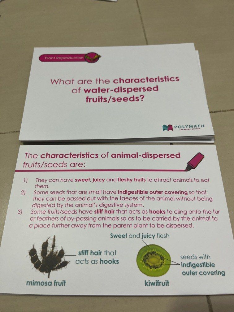 Polymath PSLE Science Flash Cards, Hobbies & Toys, Books & Magazines ...