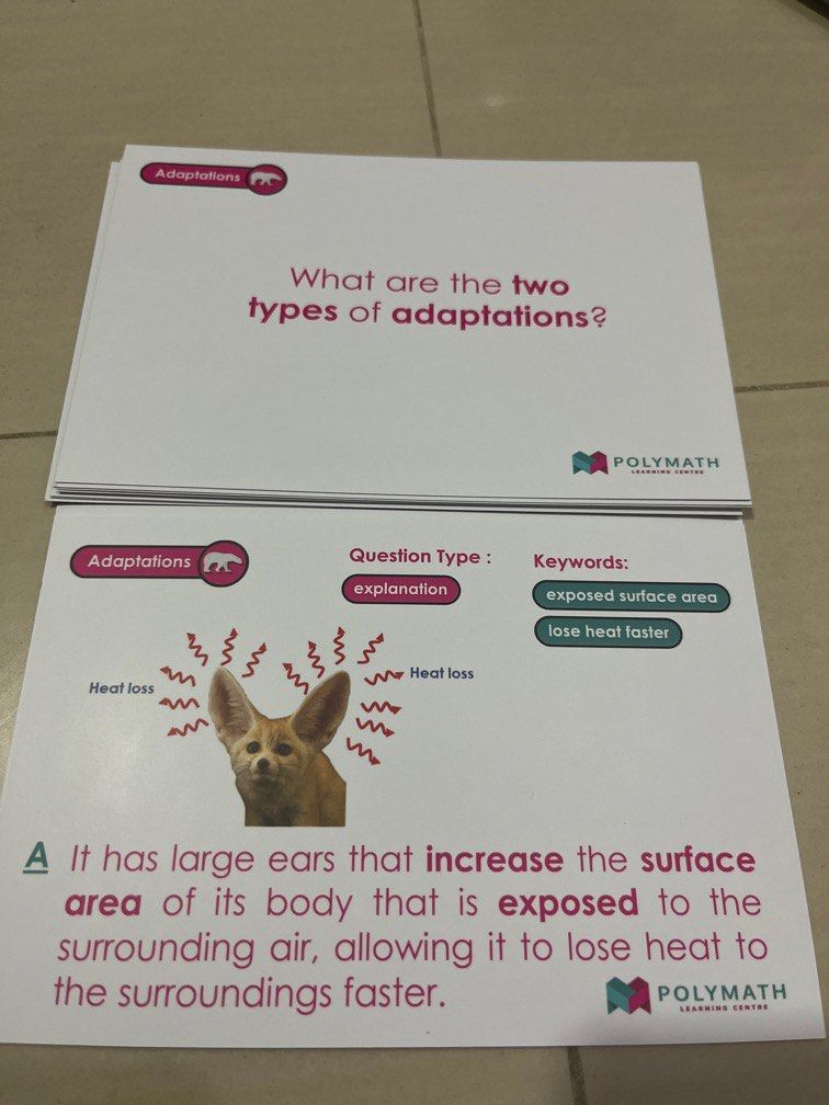 Polymath PSLE Science Flash Cards, Hobbies & Toys, Books & Magazines ...